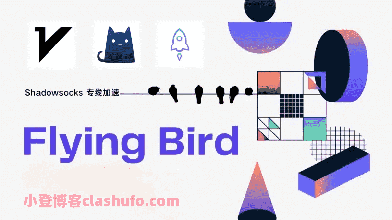 飞鸟机场FlyingBird测评 - 小登笔记